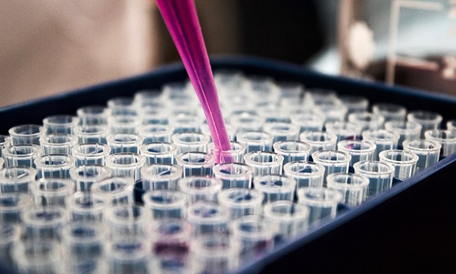 Platform-Haisco Pharmaceutical Group